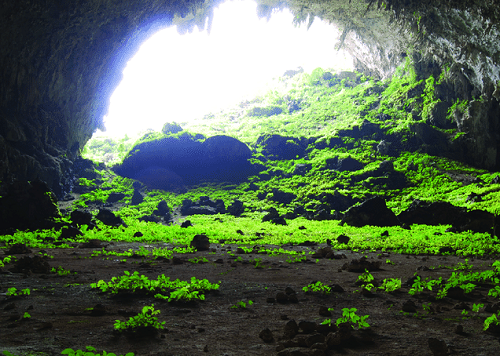 The importance of seeking forgiveness